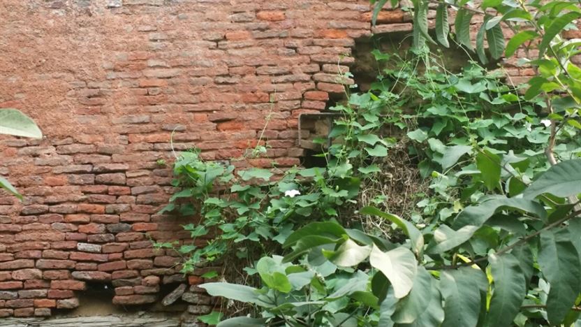 Lakhauri Bricks – Rana Safvi