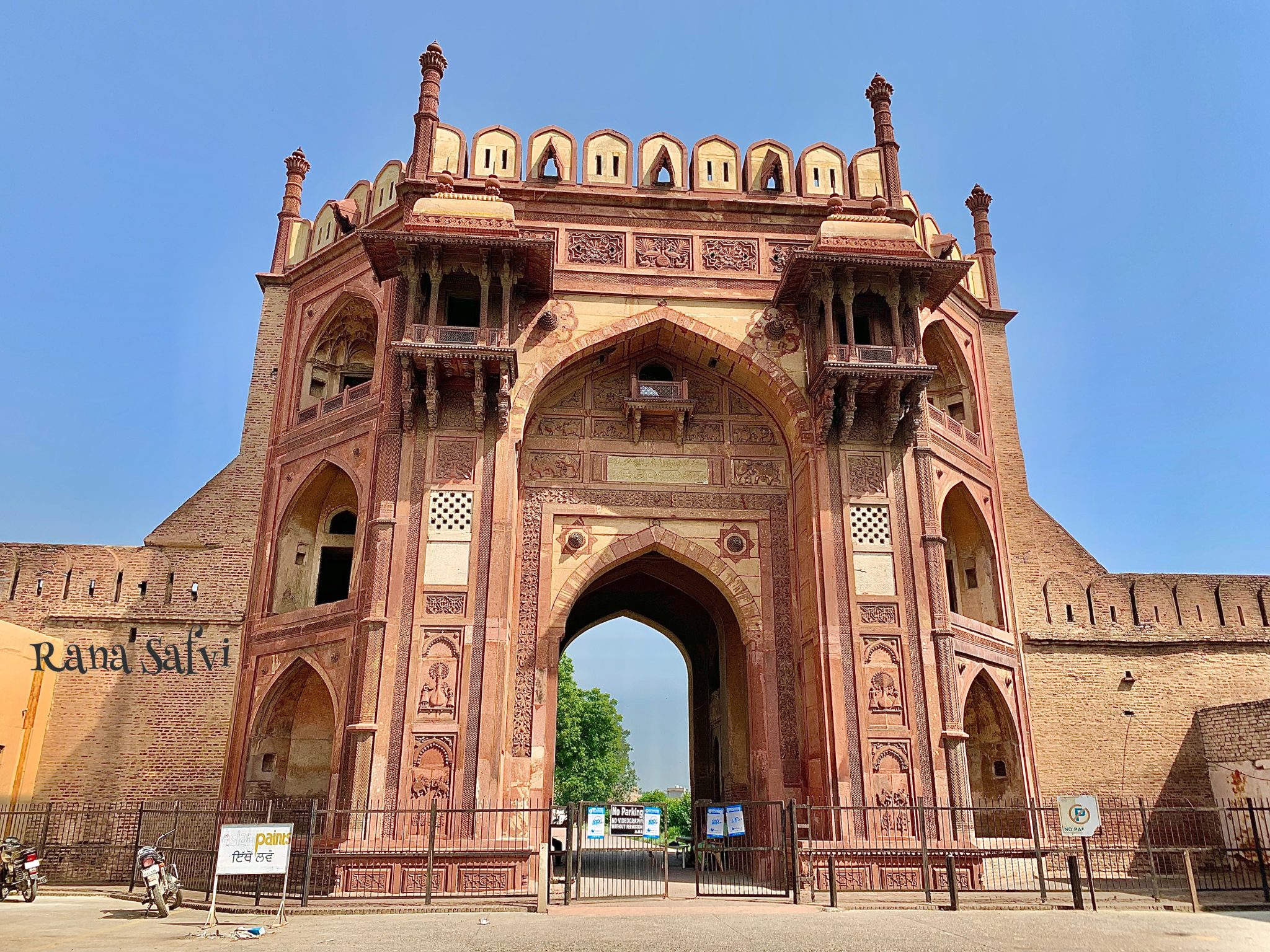 Elephants via some Paintings of the Mughal Era – Rana Safvi